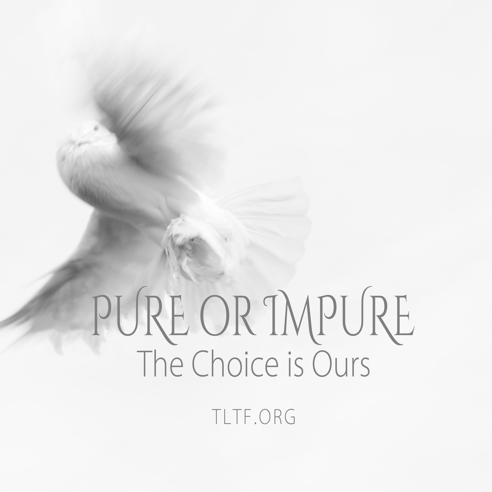 Pure or Impure: The Choice is Ours – The Living Truth Fellowship